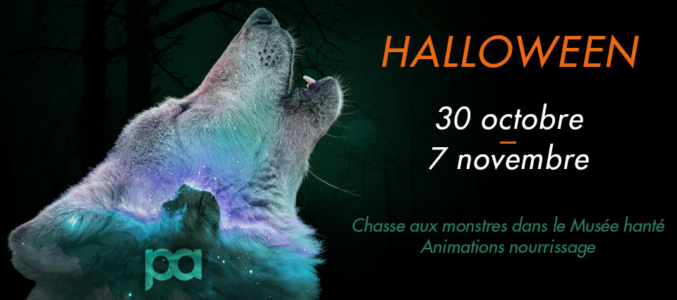 Halloween au Parc Animalier des Py | Parc Animalier des Pyrénées
